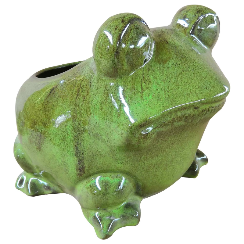 10″ Pot Glazed Frog Y001-10 – Spencer's Garden Centre